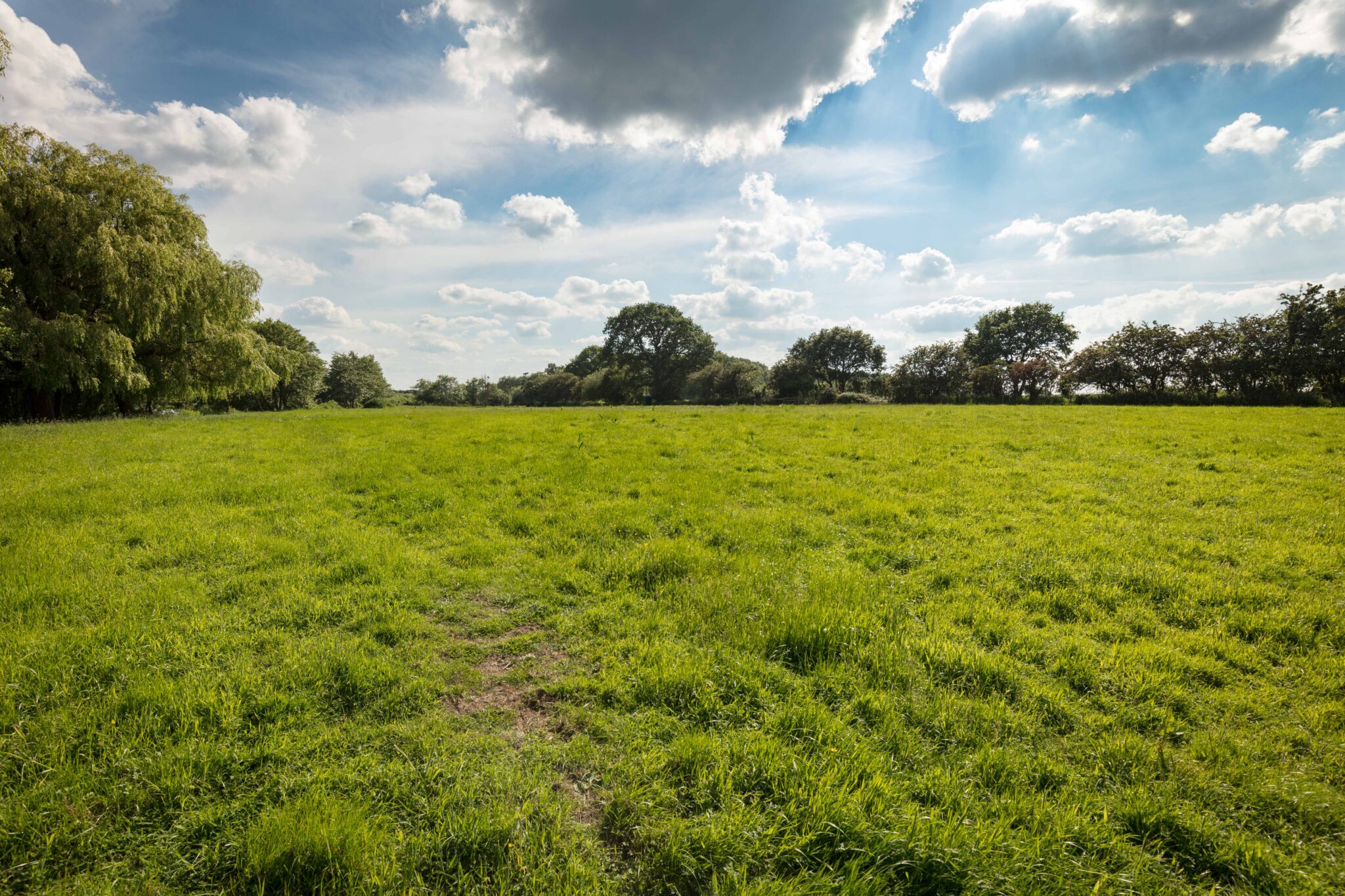 Camping Bell Tents at Waterside Campsite | Dilham Hall